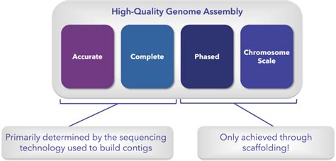 Defining A High Quality Genome Assembly And How Hi C Can Get You There Arima Genomics