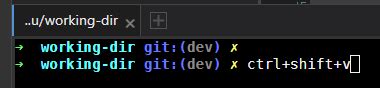 希望在终端可以添加复制黏贴的功能 Issue 303 coding WebIDE GitHub