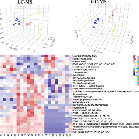 A Pls Da Score Plots Of Three Groups By Lc Ms And Lc Ms B