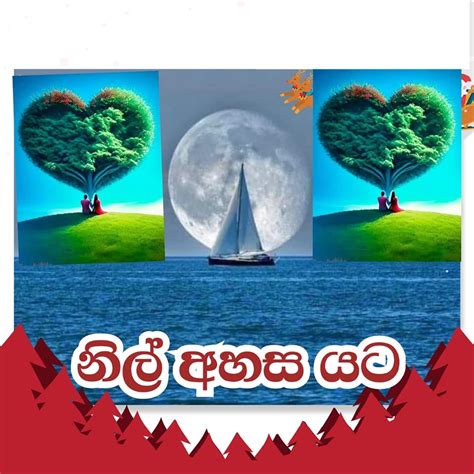 🌺🌺🌺 හිත නැවතුන තැන 🌺🌺nipune🌺🌺 Nipune 🌺🌺 Facebook