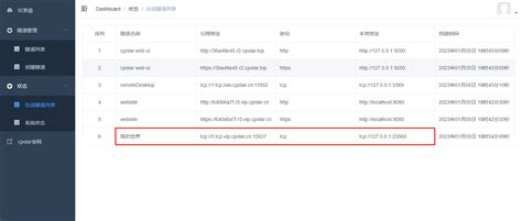 【内网穿透】搭建我的世界java版服务器，公网远程联机 阿里云开发者社区