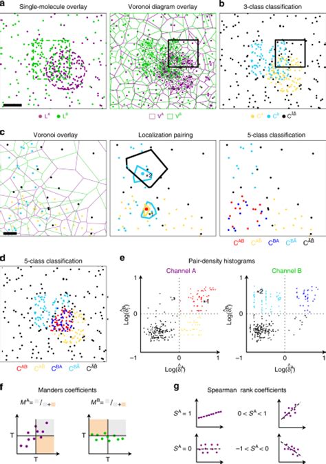 A Tessellation Based Colocalization Analysis Approach For Single Molecule Localization