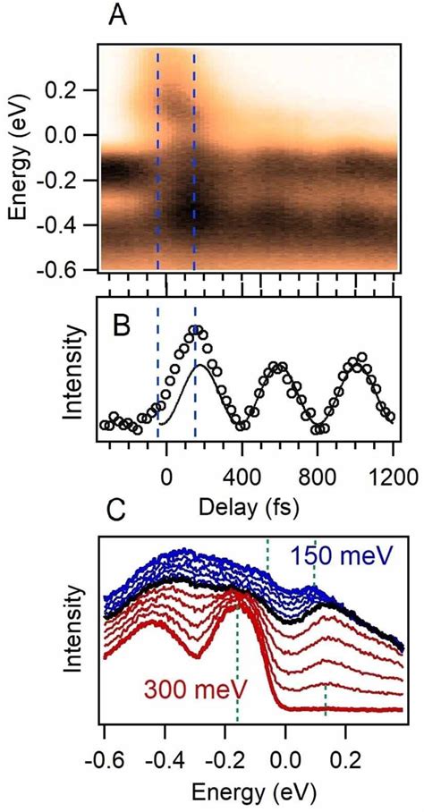 A Photoelectron Intensity Map Acquired With S Probe Polarization At Download Scientific