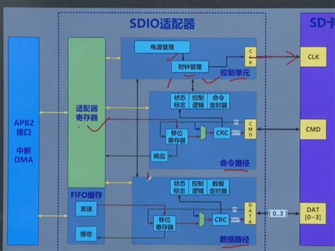 Stm32——sdio的学习（驱动sd卡）（理论篇）stm32 Sdio Csdn博客
