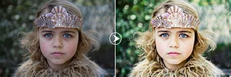 The Complete Lightroom Presets Bundle Mcp Actions™