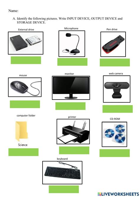 Input Devices Worksheet