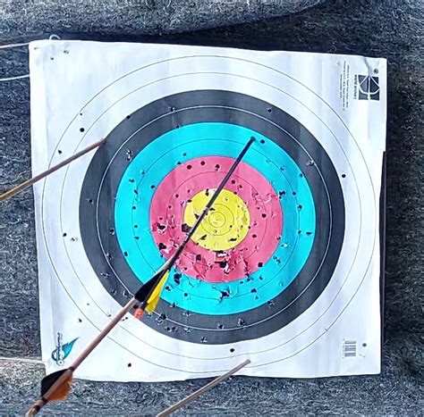 Segmentationarrow Instance Segmentation Dataset And Pre Trained Model By Kerekes Jnos