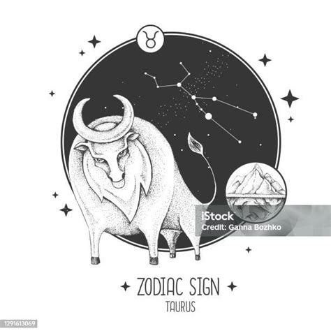 점성술 황소 조디악 기호현대 마법 마술 카드 현실적인 손 그리기 황소 머리 조디악 특성 점성술에 대한 스톡 벡터 아트 및 기타 이미지 점성술 고풍스런 꿈꾸기 Istock