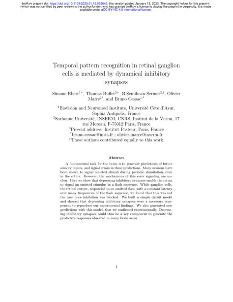 Pdf Temporal Pattern Recognition In Retinal Ganglion Cells Is Mediated By Dynamical Inhibitory