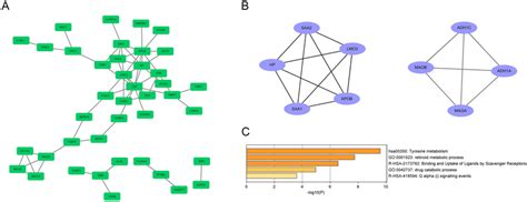 construction of a ppi network and module analysis a protein protein download scientific