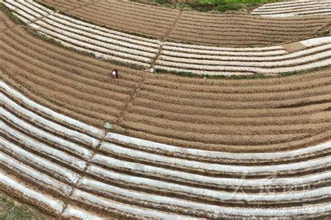 广西南宁：人勤春早耕作忙 人民图片网