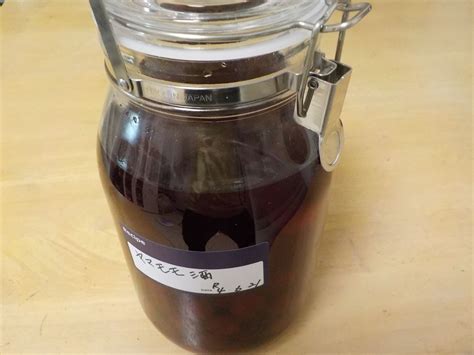 ヤマモモ酒のヤマモモ実がこんなにも美味しいなんて吃驚 超簡単うさうさレシピ