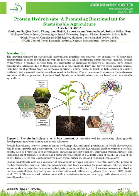 Pdf Protein Hydrolysate A Promising Biostimulant For Sustainable