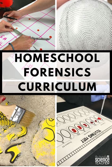 Forensics Curriculum Entire Year Course Bundle Forensic Science Forensic Science Forensics