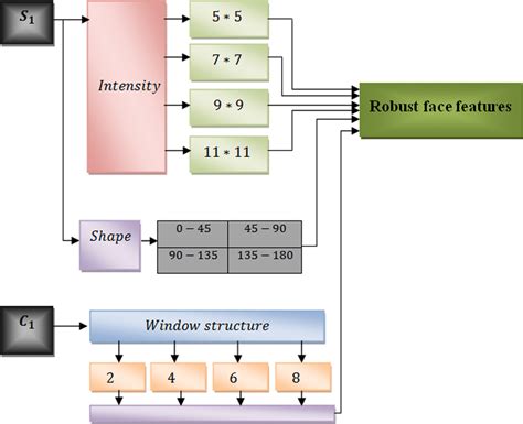 Biologically Inspired Features Of The Face With Two Different Layers S1 Download Scientific