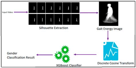 Robust And Lightweight System For Gait Based Gender Classification Toward Viewing Angle Variations