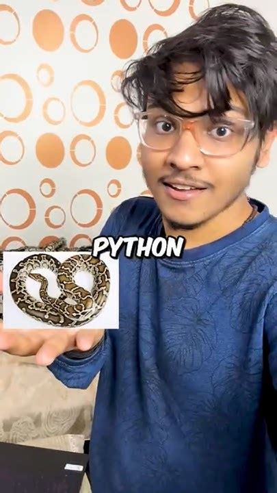 i learned coding in a day shorts youtube