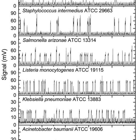 Figure S Exemplary Waveforms Of Six Unlabeled Samples Consisting Of Download Scientific