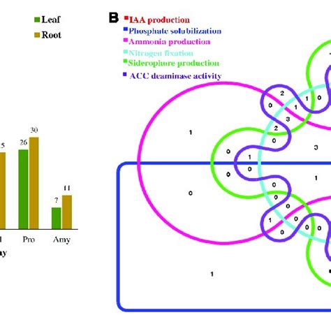 Principle Component Analysis Biplot Based On Correlation Matrices Of
