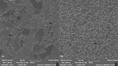 Sem Micrographs Of Microstructures Of A Steel A And B Steel B Download Scientific Diagram