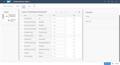Modeling A Trade Promotion Object With A Custom Bu Sap Community