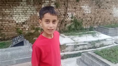 Bot Dino Bad Vlog Banaya🤔🤔🤔vlog102 Youtube