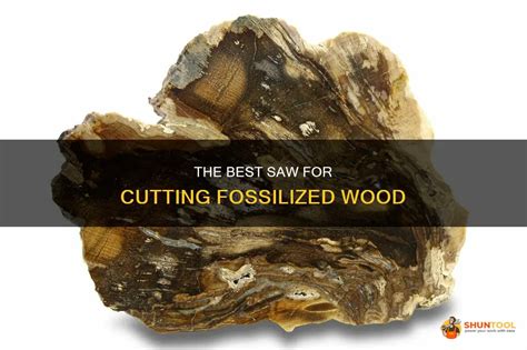 The Best Saw For Cutting Fossilized Wood Shuntool