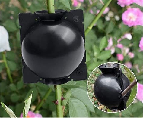 Anyone Ever Use Root Pods For Cloning Page 2 Grow Equipment I