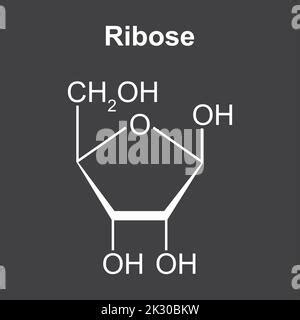 Chemical Structure Of Ribose And Deoxyribose Ribose Vs Deoxyribose Vector Illustration Stock
