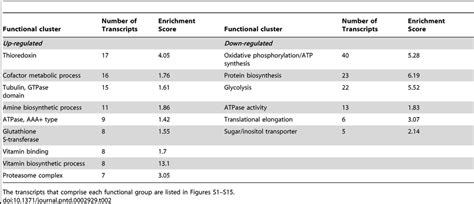 David Functional Clusters That Are Significantly Enriched Among The