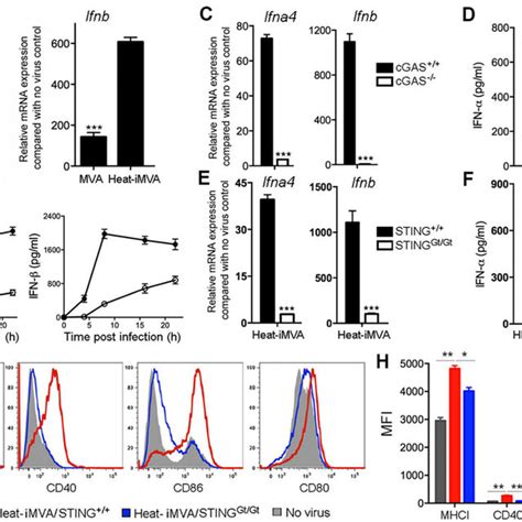 Heat Imva Induces Higher Levels Of Type I Ifn Production Via The
