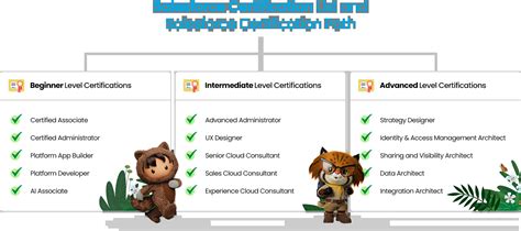 Salesforce Certifications Guide In 2025