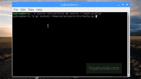 raspberry pi 树莓派编写go语言的hello world！ 凌顺实验室