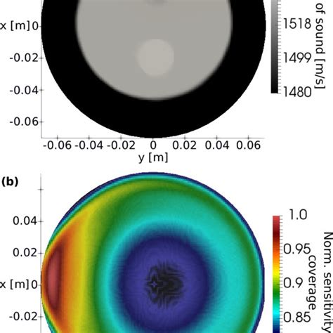 A 2d Velocity Reconstruction And B Normalized Sensitivity Coverage Download Scientific