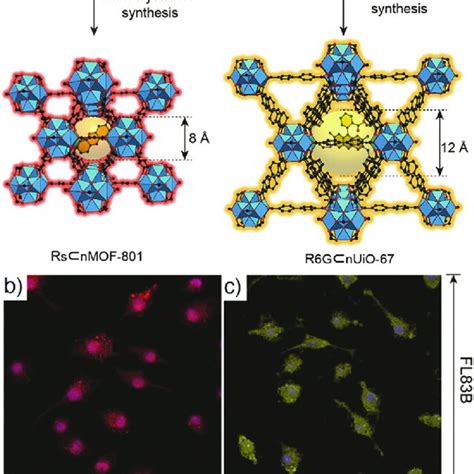a scheme for the encapsulation of resorufin and rhodamine 6g within download scientific