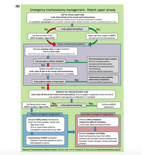 Common Tracheostomy Issues Core Em