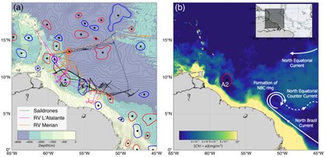 Remote Sensing Free Full Text Combining An Eddy Detection Algorithm With In Situ