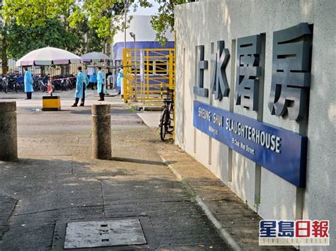 上水屠房再多2人初步確診加強消毒 食環署指不影響活豬供應 星島日報 Line Today