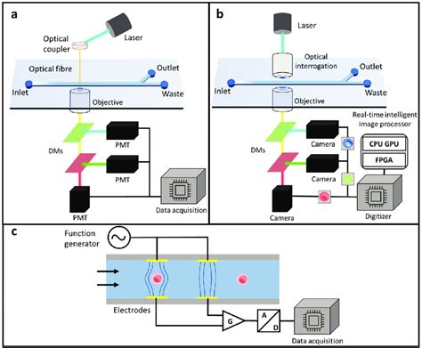 Schematic Of Sample Detecting System Setups In Microfluidic Flow Download Scientific Diagram