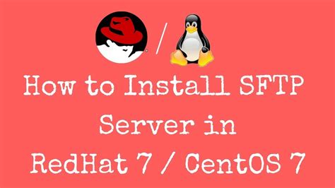 How To Setup Chroot Sftp In Linux Sftp Server Chroot Configuration Hindi Youtube