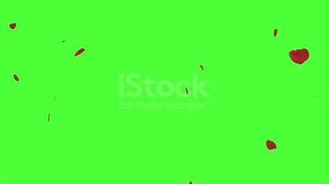 yii serのセックス動画andカメラチャットの録画 stripchat
