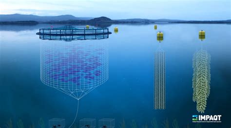 Intelligent Management Systems For Integrated Multi Trophic Aquaculture Leitats Projects Blog