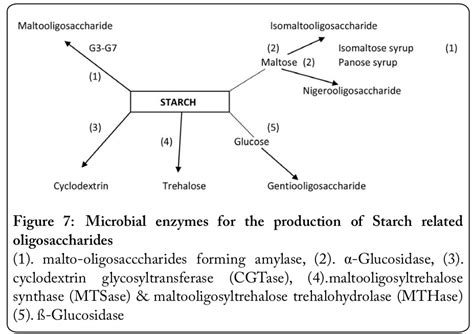 Oligosaccharides