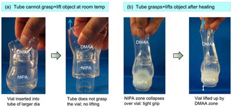 Gels Special Issue Polyelectrolyte Gels