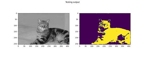 Github Masadcv Pytorchhaarfeatures Efficient Implementation Of Haar Like Features For D And