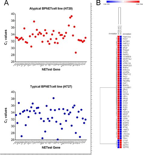 Pcr Analysis Of The 51 Marker Genes In Two Lung Nci Net Cell Lines Download Scientific Diagram
