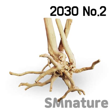 Sm 뉴 넘버링 유목 2030 No2 상아쿠아