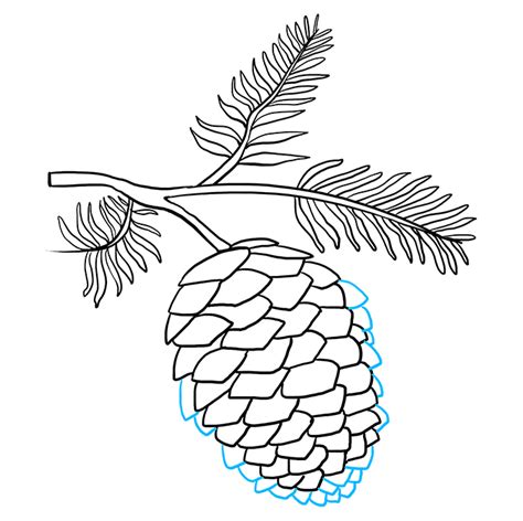 How To Draw A Pinecone Really Easy Drawing Tutorial