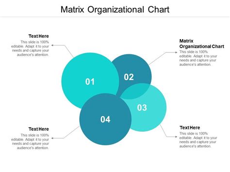 Matrix Organizational Chart Ppt PowerPoint Presentation Model Inspiration Cpb