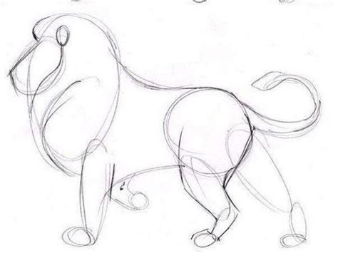Картинки поэтапно для срисовки животные